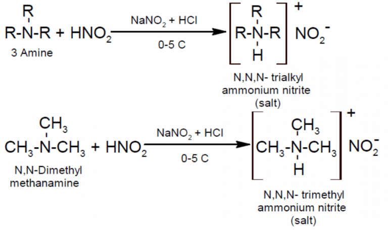 Amine | NEB Grade 12 Notes | Organic Chemistry | Sajha Notes