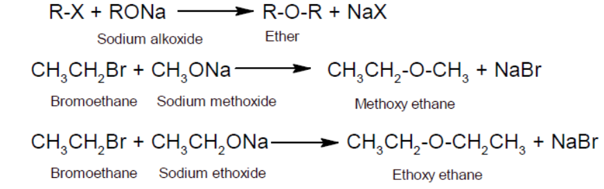 Haloalkane (Alkyl halide) | Neb Grade 12 Notes | Organic Chemistry