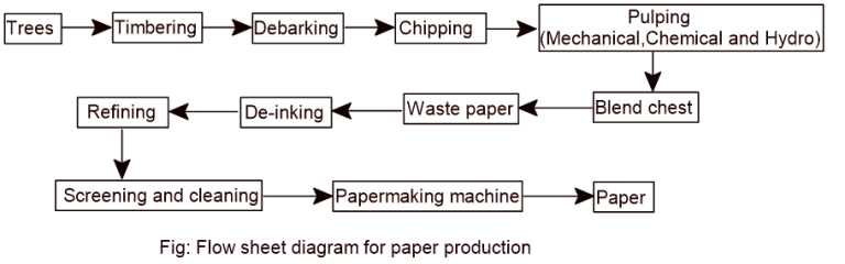 Paper and Pulp | NEB Grade 12 Notes | Applied Chemistry | Sajha Notes