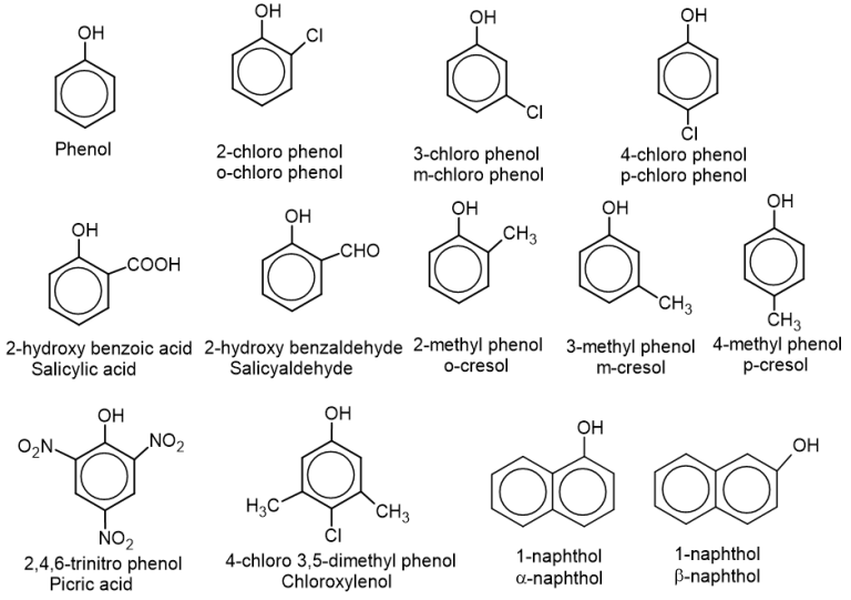 Phenol | NEB Grade 12 Notes | Organic Chemistry | Sajha Notes